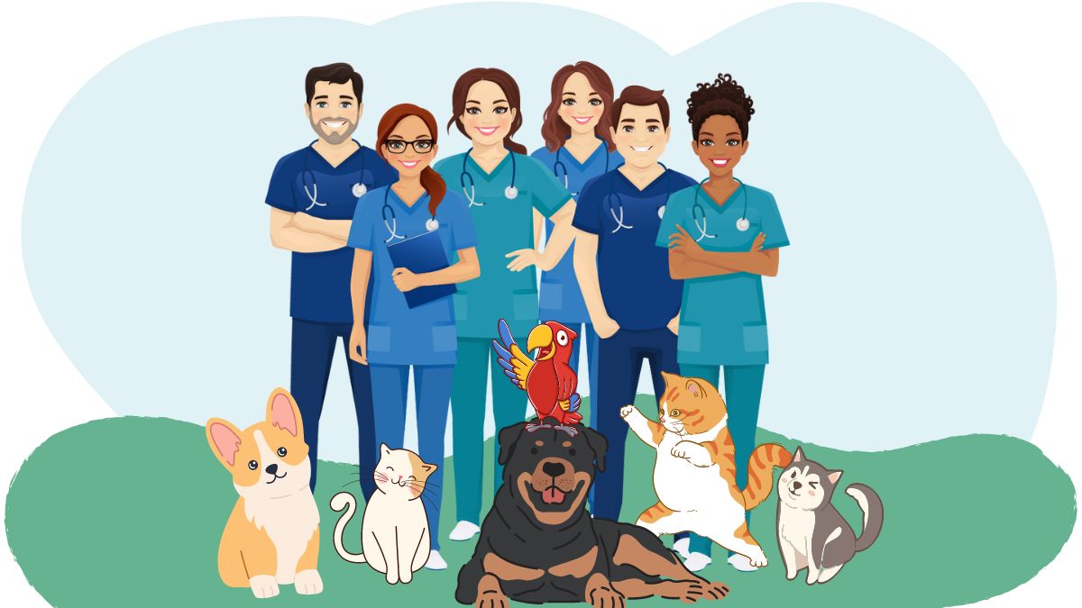 VEN506 24/25 GUFLINTS | VLE